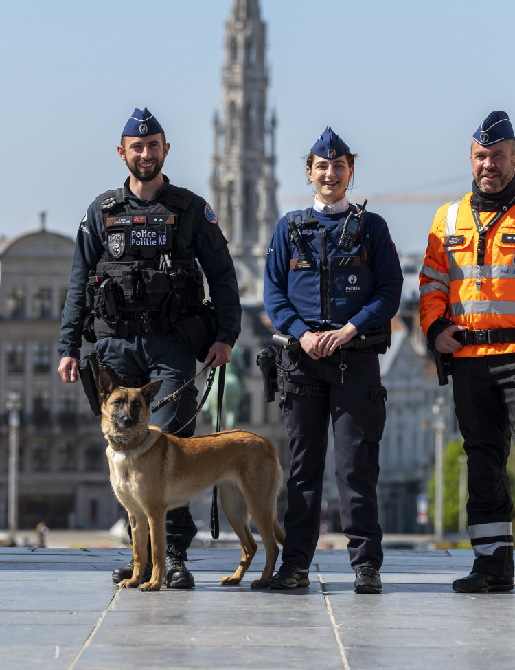 Algemene directie bestuurlijke politie | Jobpol