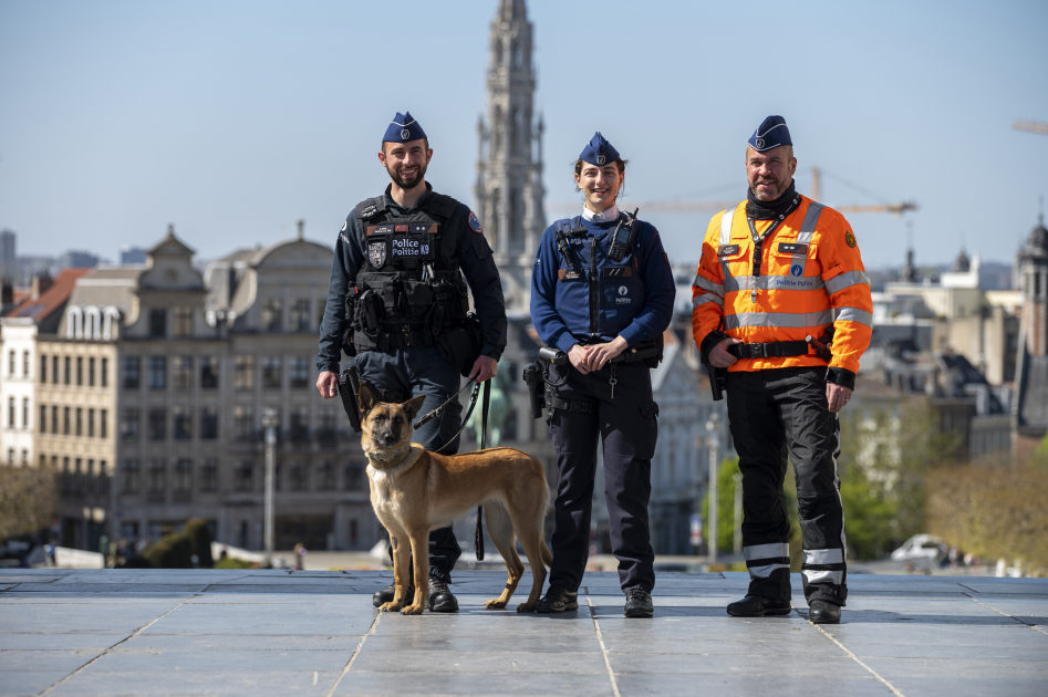 Direction générale de la police administrative | Jobpol